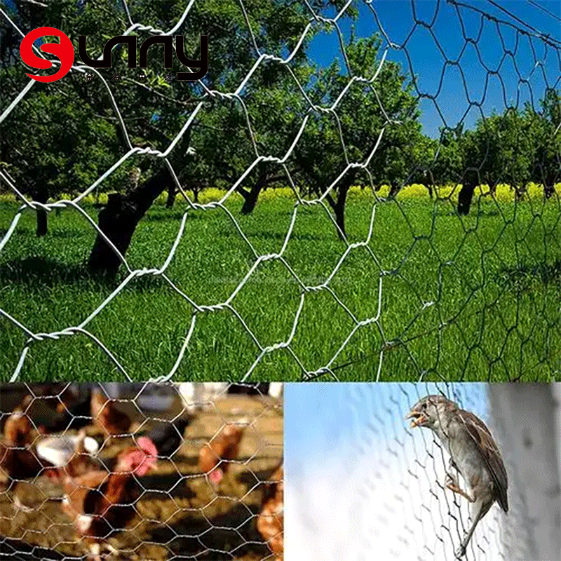 What is a high quality galvanized hexagonal wire mesh?