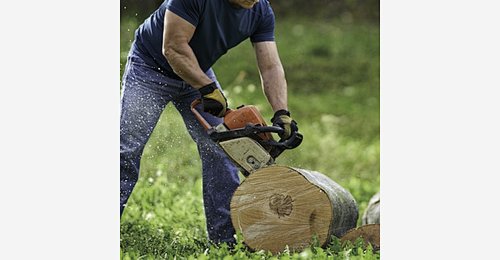 Royal chainsaw | Professional Chainsaw Supplier & Manufacturer of High ...
