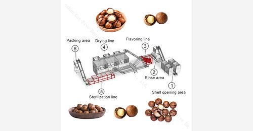 macadamia deep processing line , macadamia kernel shelling machine ...