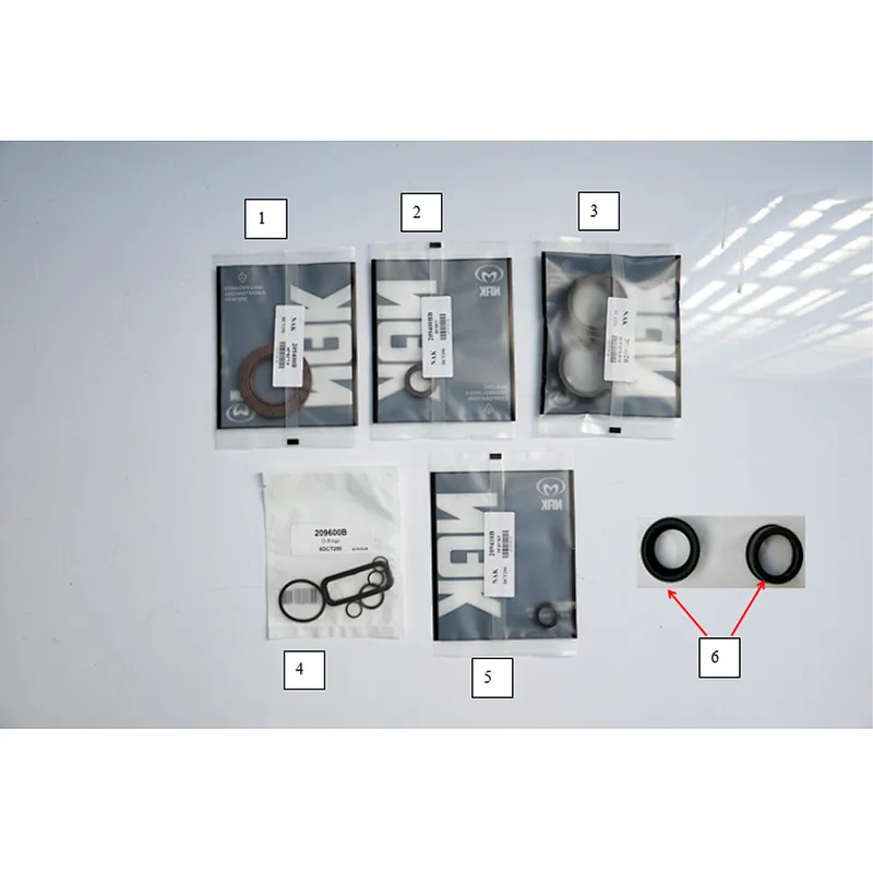 TRANSPEED DPS6 DCT250 Automatic Transmission Rebuild Overhaul Kit For ...